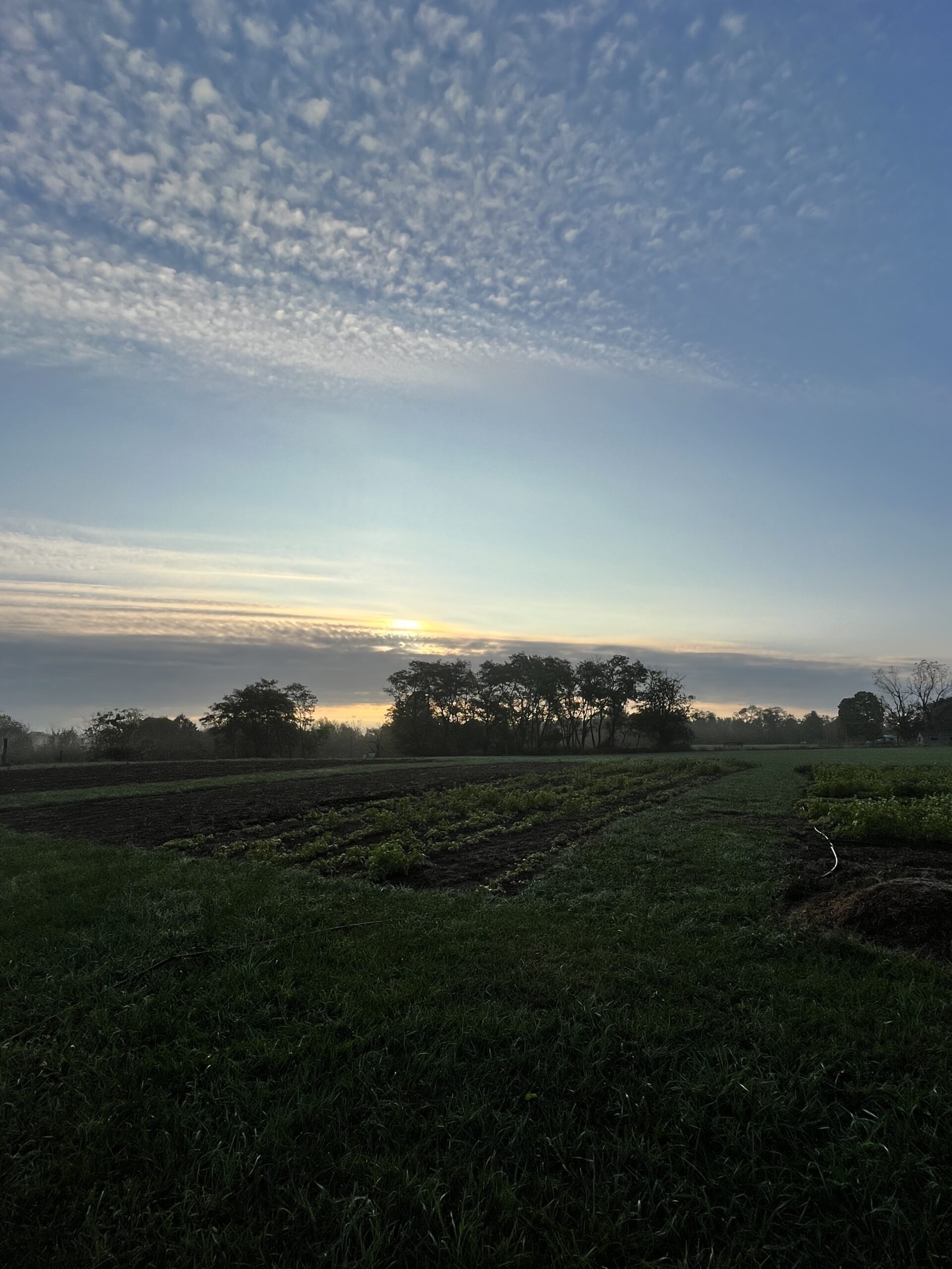 Stop Link 101 – The official site for opposition to the Link 101 ...